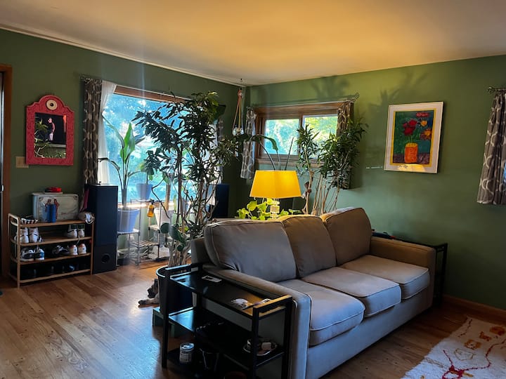 Dream Jungle Escape - Room - Wauwatosa, WI