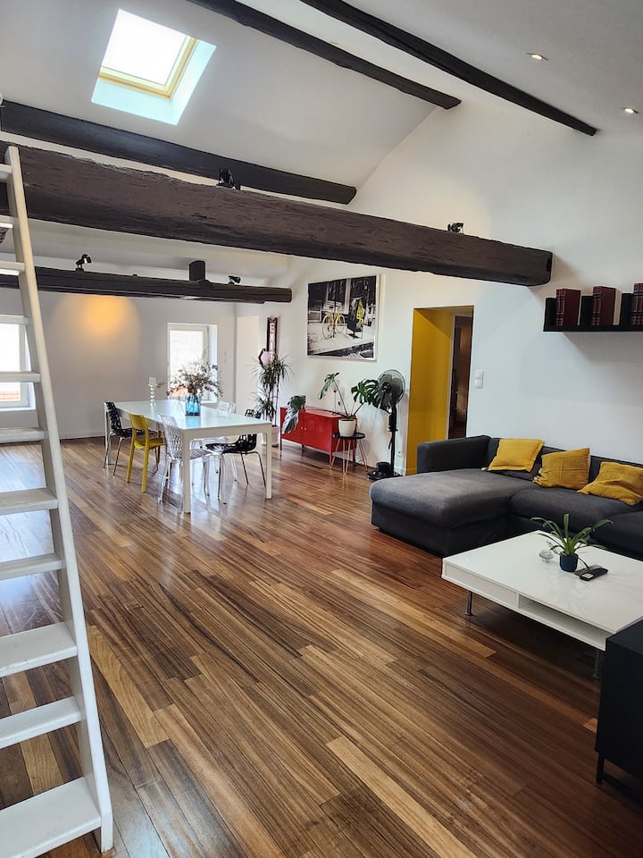 Appartement Des Lumiéres - Nancy