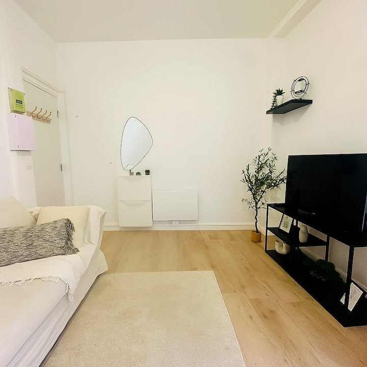 Magnifique Appartement T2 Croix Centre - Croix