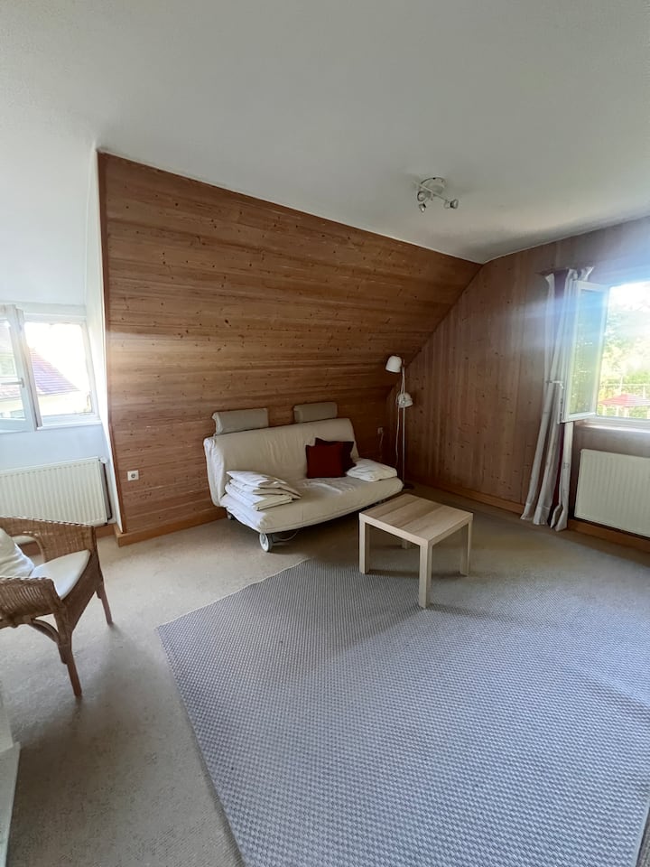 Tranquil Apartment „Betsy“ In Tübingen - 圖賓根