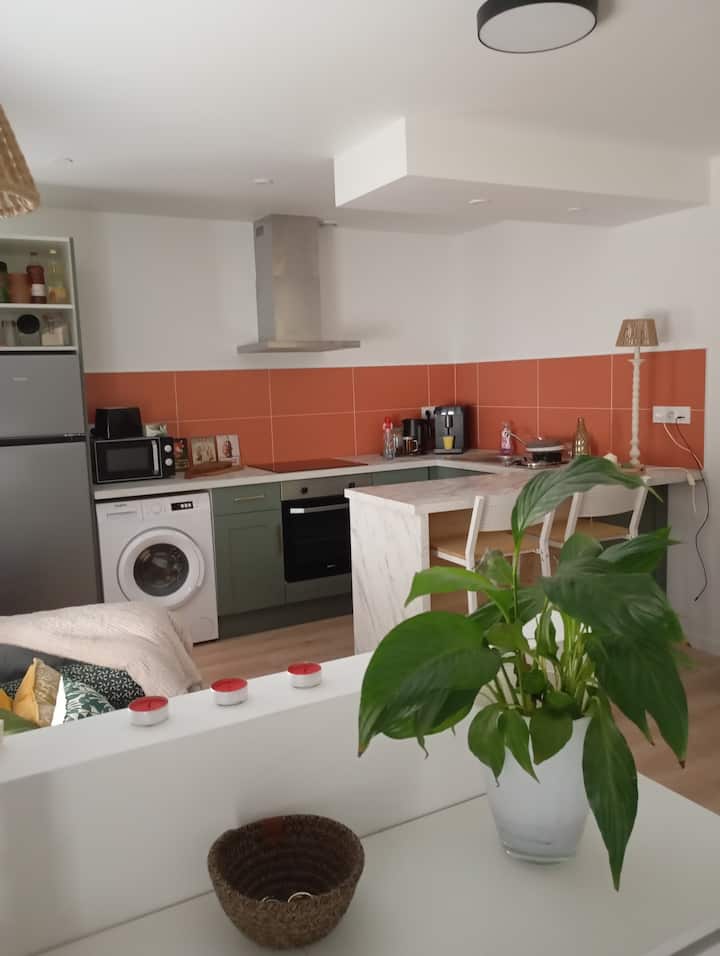 Appartement 5 Min à Pied De La Place Ducale - Charleville-Mézières