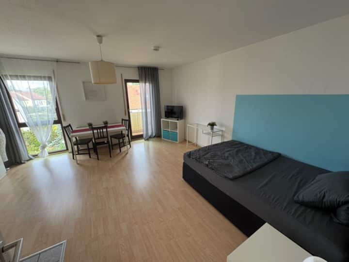 Gemütliches Apartment Am Rheinauer See - Mannheim