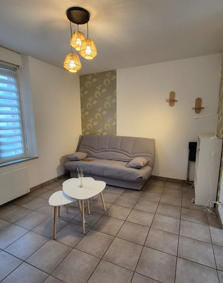 Studio "La Pause D'un Soir" - ibis budget Roye