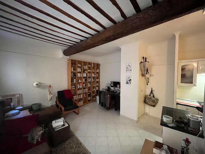 Appartement Calme Au Centre D’aix - Aix-en-Provence