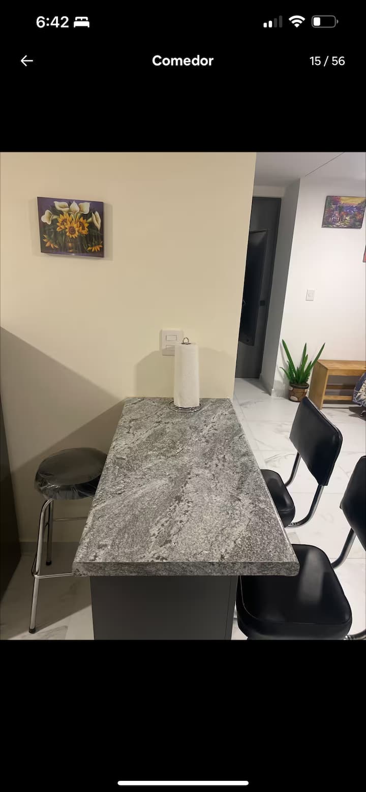 Small Apartment In Downtown Cdmx - Mexico City International Airport (MEX)