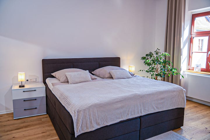 Stilvoll Wohnen In Freiberg - Freiberg