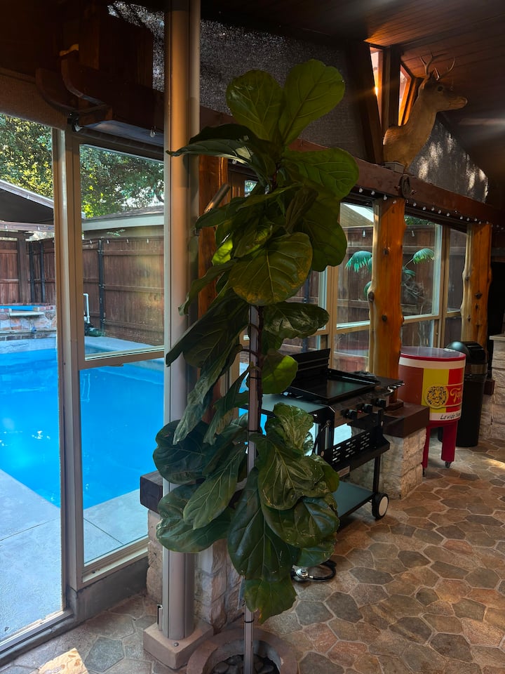House Rental With Private Pool - Saginaw, TX