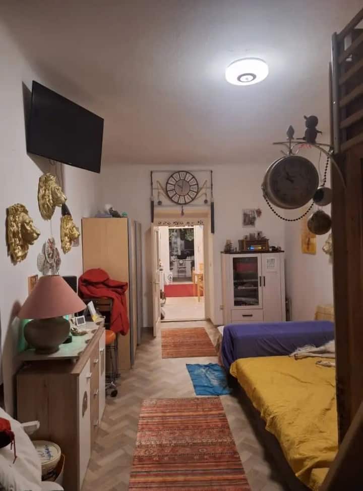 Zentrale Wohnung In Graz - Graz