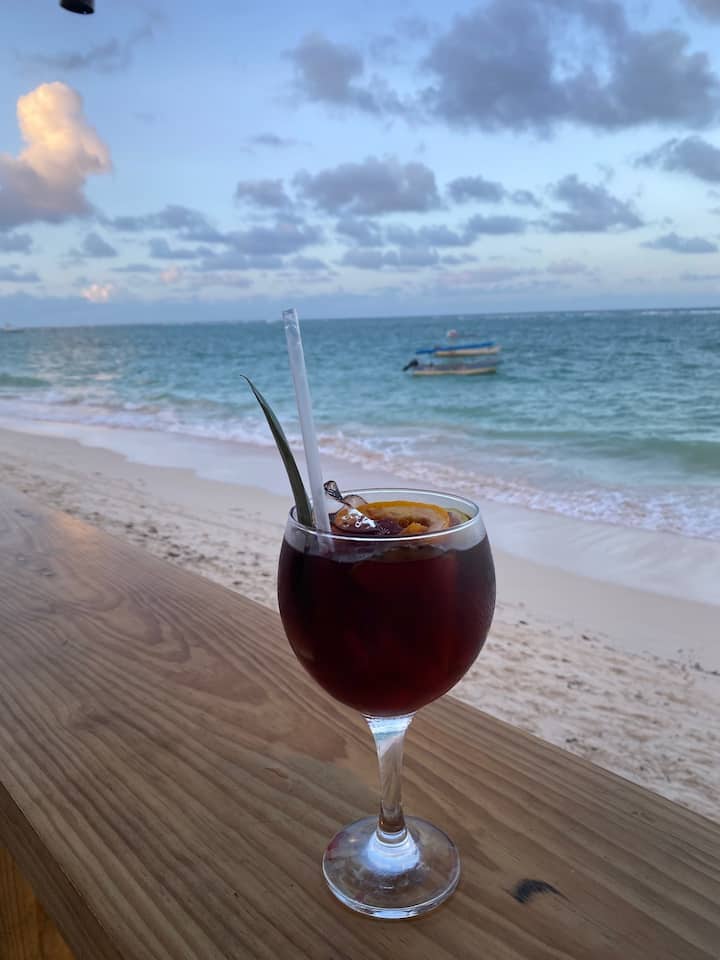 Oceanview Penthouse / 3 Minute Walk To Beach - Punta Cana