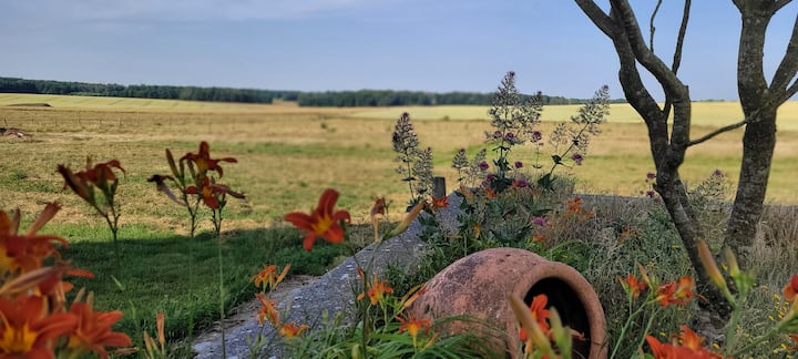 Gîte Grande Capacité En Champagne - Montmirail