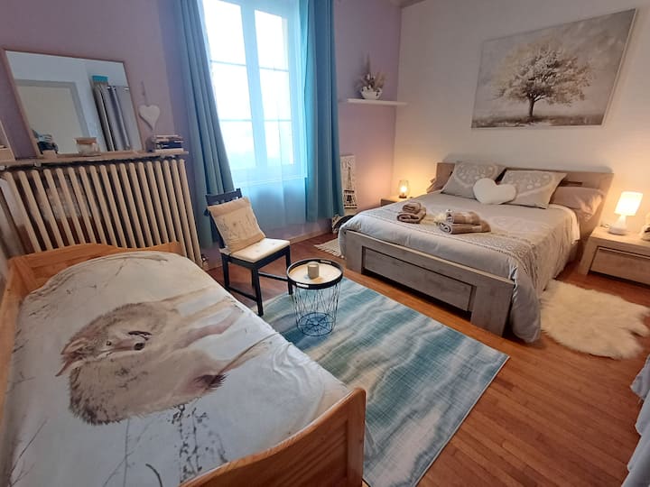 Chambre Cosy - Thionville