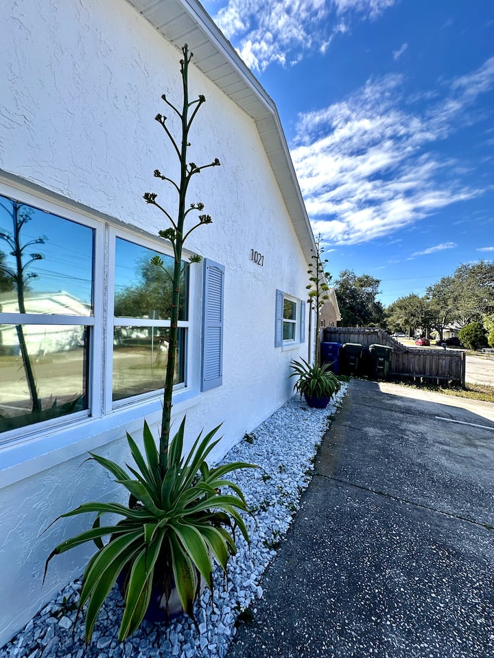 Casa Azul B - Largo, FL