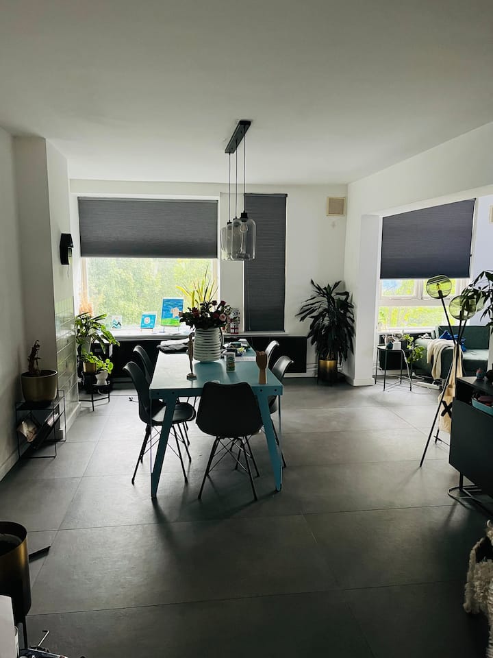 Ruim Appartement Dicht Bij Het Centrum - Utrecht