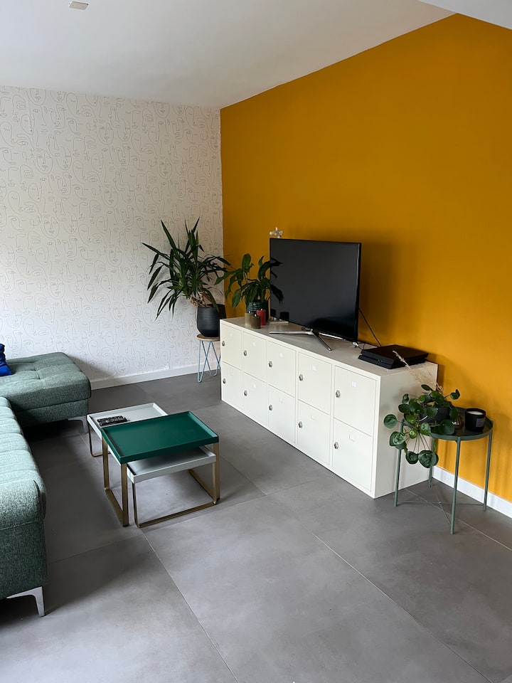 Ruim Appartement Dicht Bij Het Centrum - Utrecht