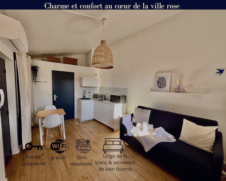 Studio Cosy Climatisé Sur Les Toits De Toulouse - Toulouse