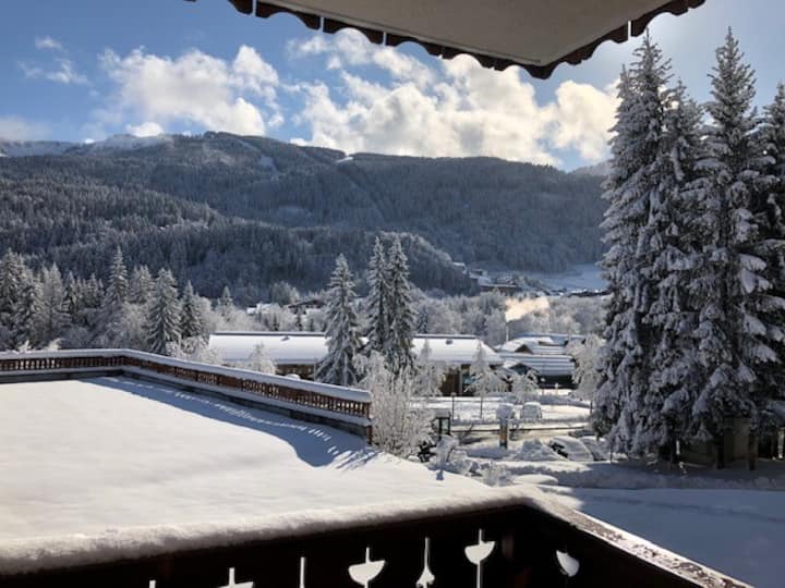 Appartement Type Chalet Au Calme - Les Carroz d'Arâches
