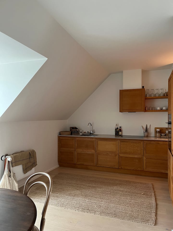 Super Fin Nyrenoveret Lejlighed Midt I Kbh - Kopenhagen