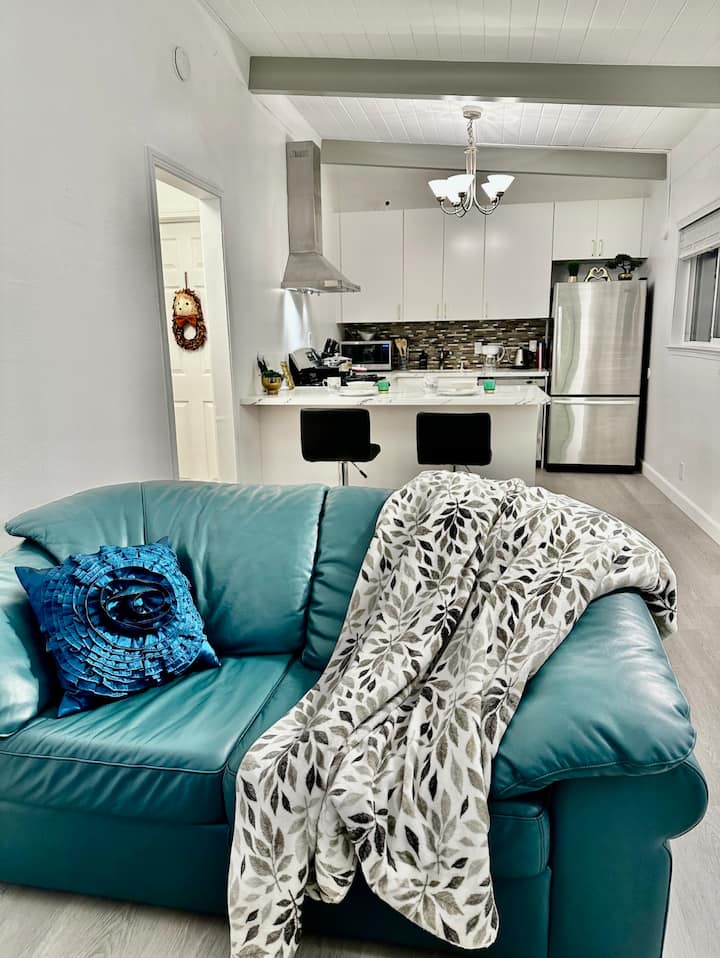 Cozy 2br Modern Home - Central Safe Location - Cambrian Park, CA