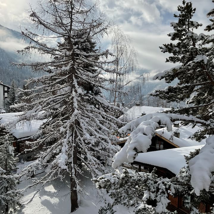 Alpine Chic Valtournenche - Valtournenche