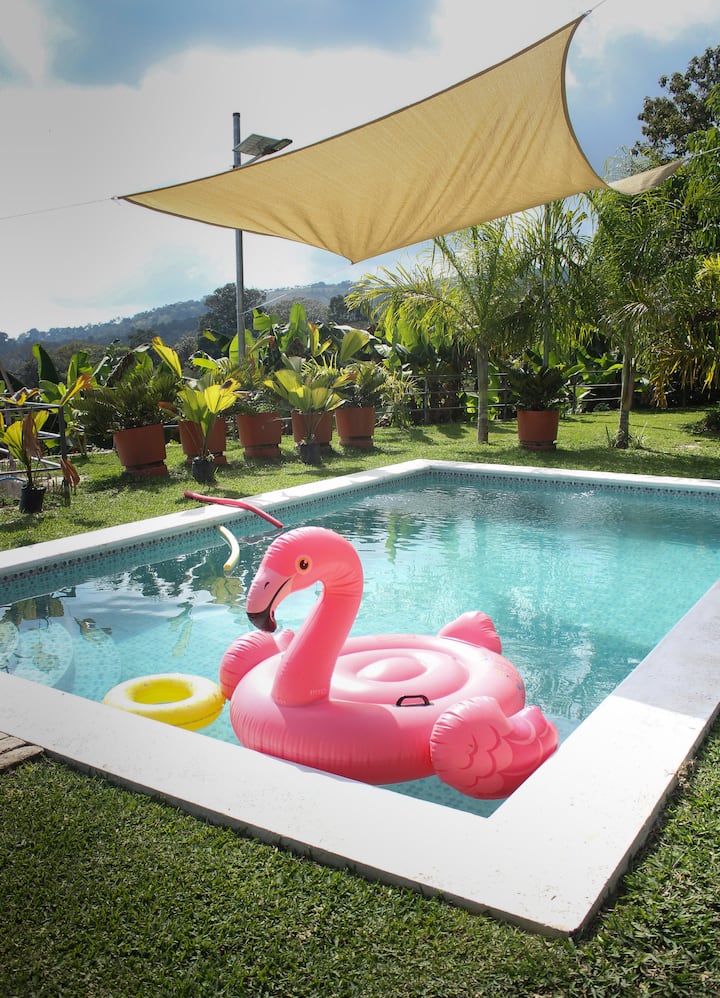 Casa Palmera Volcán - El Salvador