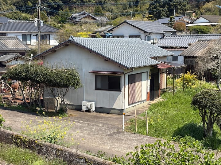 Stayhousedaruma - Saga, Saga