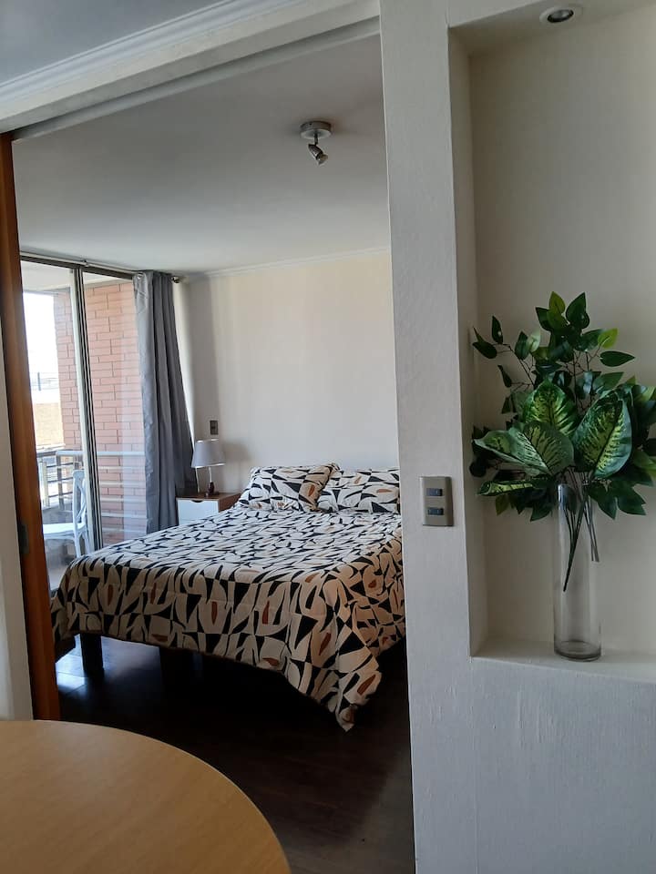 Maravilloso Departamento - Las Condes