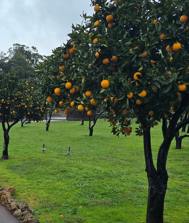 The Orchard Annex Is Home Away From Home ! - Mundaring