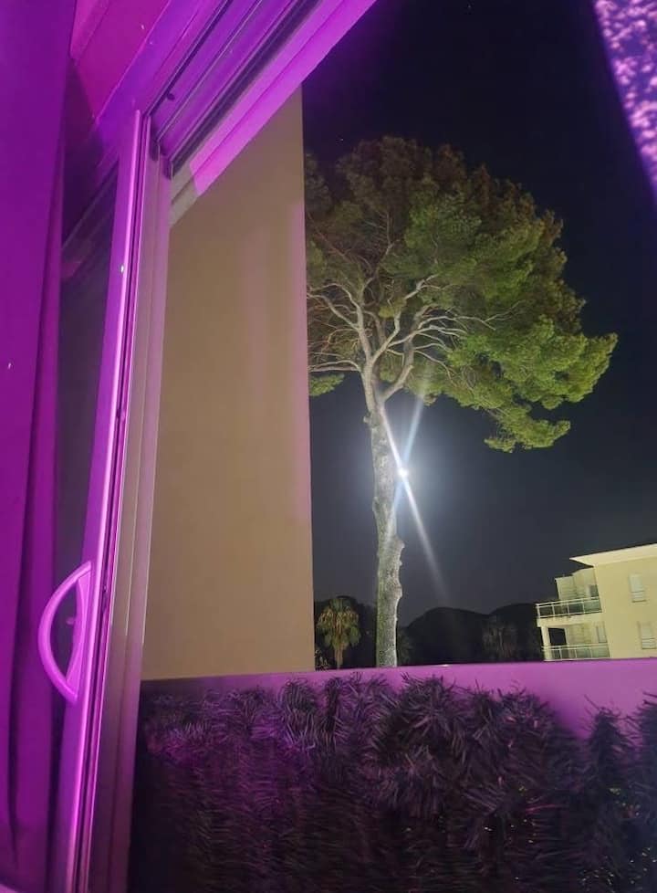 Bel Appartement 2 Pièces à Côté Du Port Et Plage - Hyères