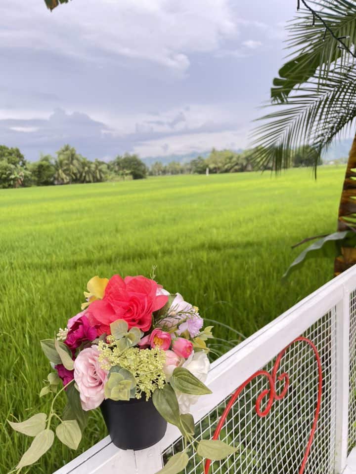 Private Rest House | Rice Field | Pool | Jacuzzi - Filipinas