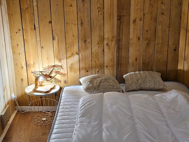 Appartement Cosy Au Centre De Roanne - Roanne