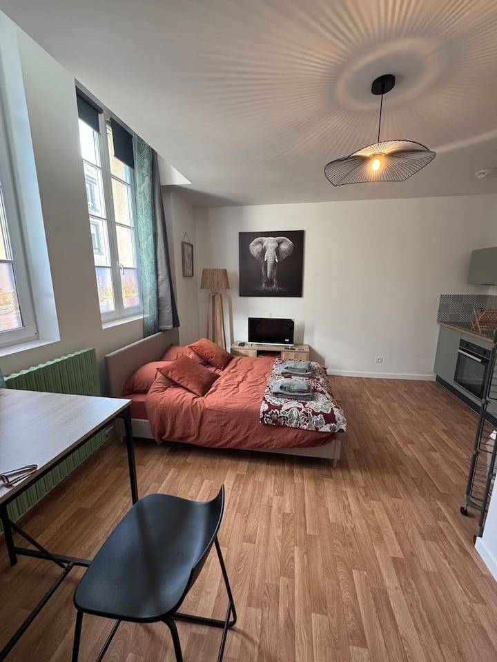 Studio "Voyage" - Proche Centre Ville - Mayenne
