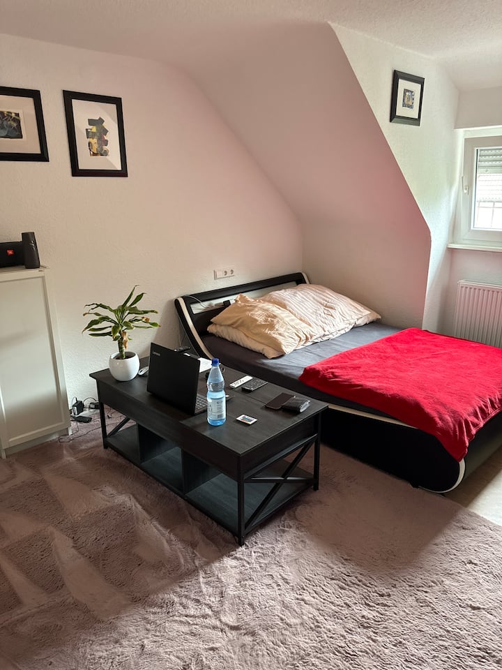 Ein Zimmer Wohnung In Stuttgart Münster - Stuttgart