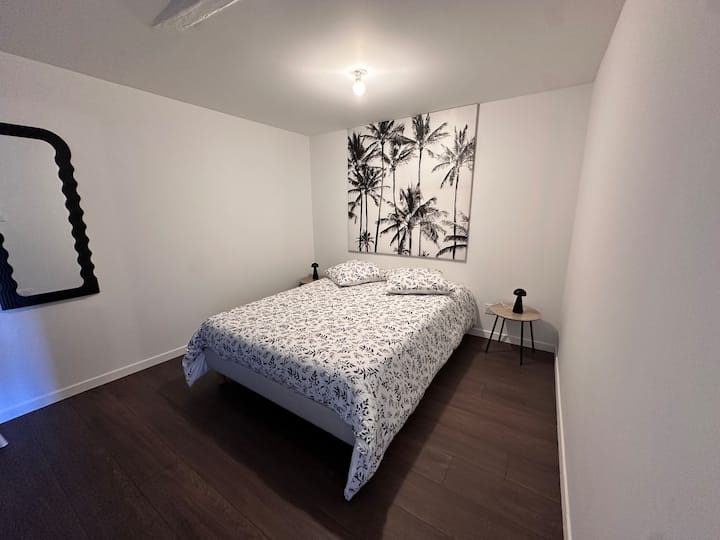 Contrasté T2 Montferrand - Clermont-Ferrand