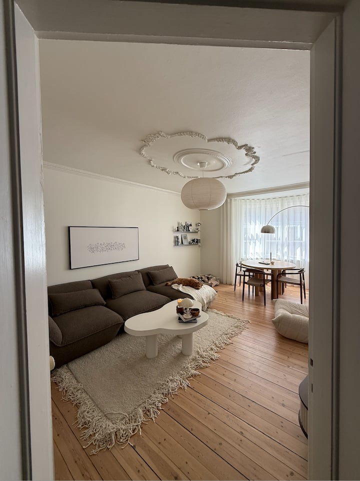 Charming Copenhagen Apartment - 哥本哈根