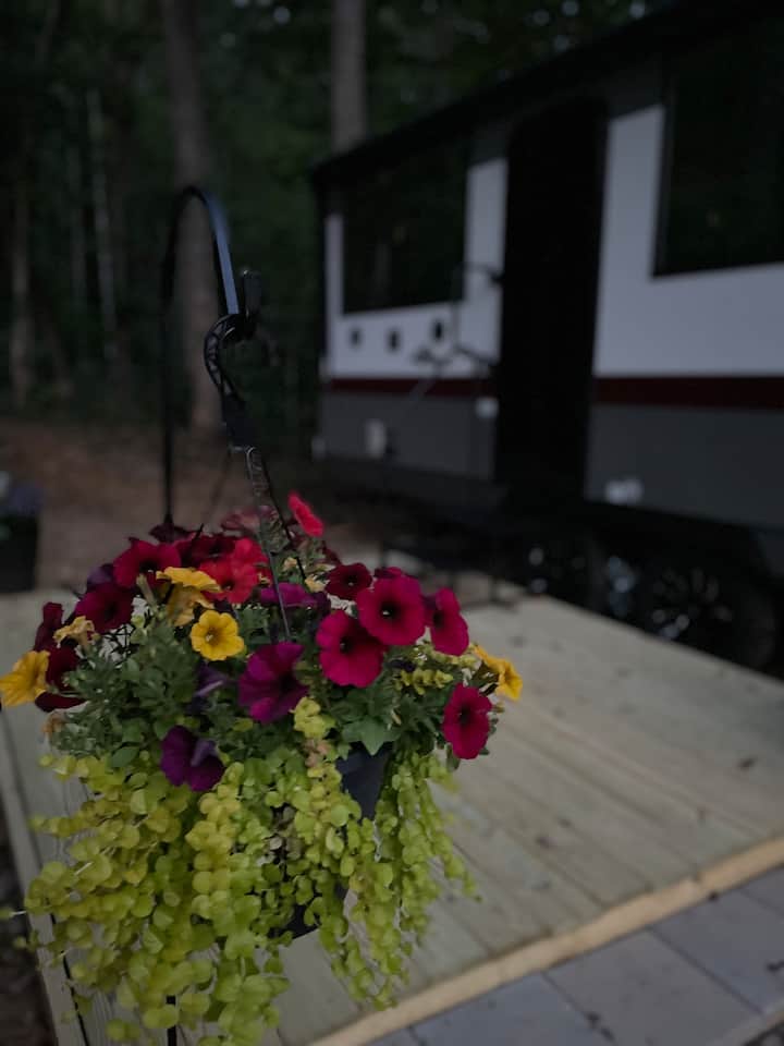 Red Oak Retreat: A Cozy Forest Escape - Sierra Nevada