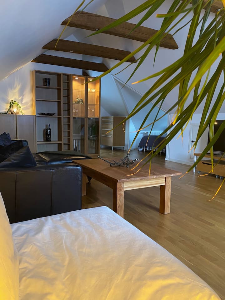 Hotell Apartment Amiralen 10 - Halmstad