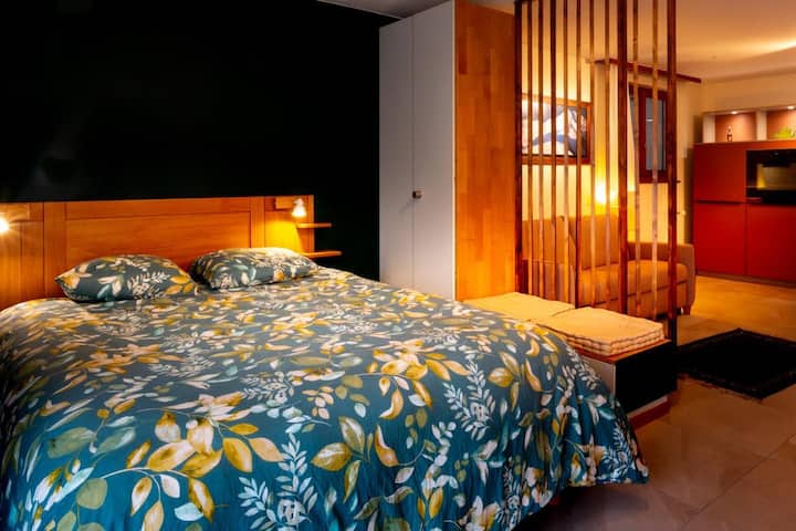 Studio Avec Cuisine De 51 M2 + Sdb Privative 6 M2 - Vercorin