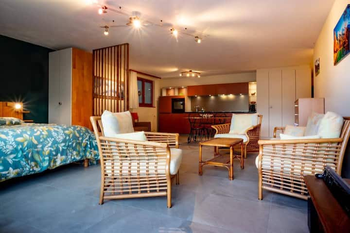 Studio Avec Cuisine De 51 M2 + Sdb Privative 6 M2 - Sierre