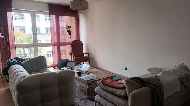 Appartement Charmant, Lumineux Avec 2 Balcons - Strassburg