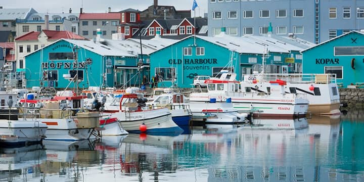 Quiet Studio With Garden View In Vesturbaer - Reykjavik