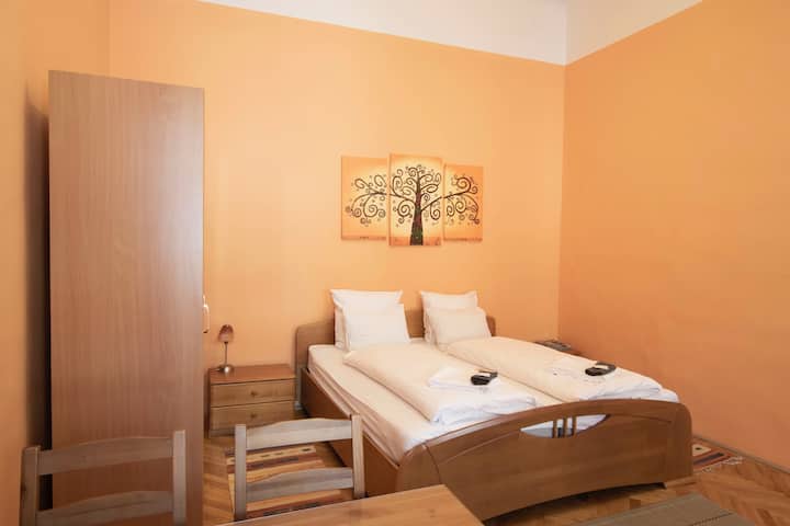Standard Apartment By Hi5- Magyar Str - Budapest