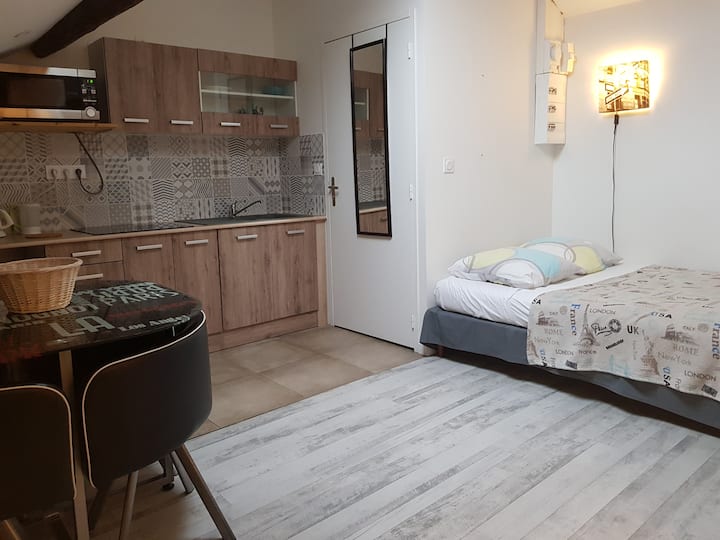 Appart Meublé 2*" Les Canuts" 2 Pers - Sathonay-Camp