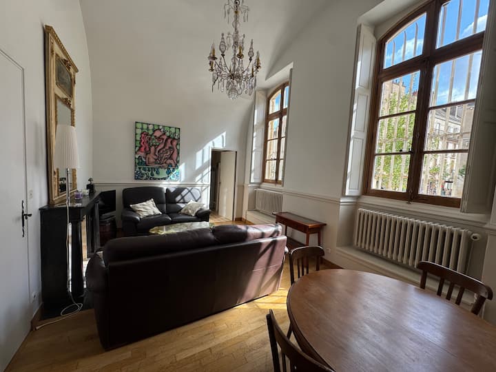 Superbe Appart, Hôtel Particulier, Coeur De Dijon. - Université de Bourgogne