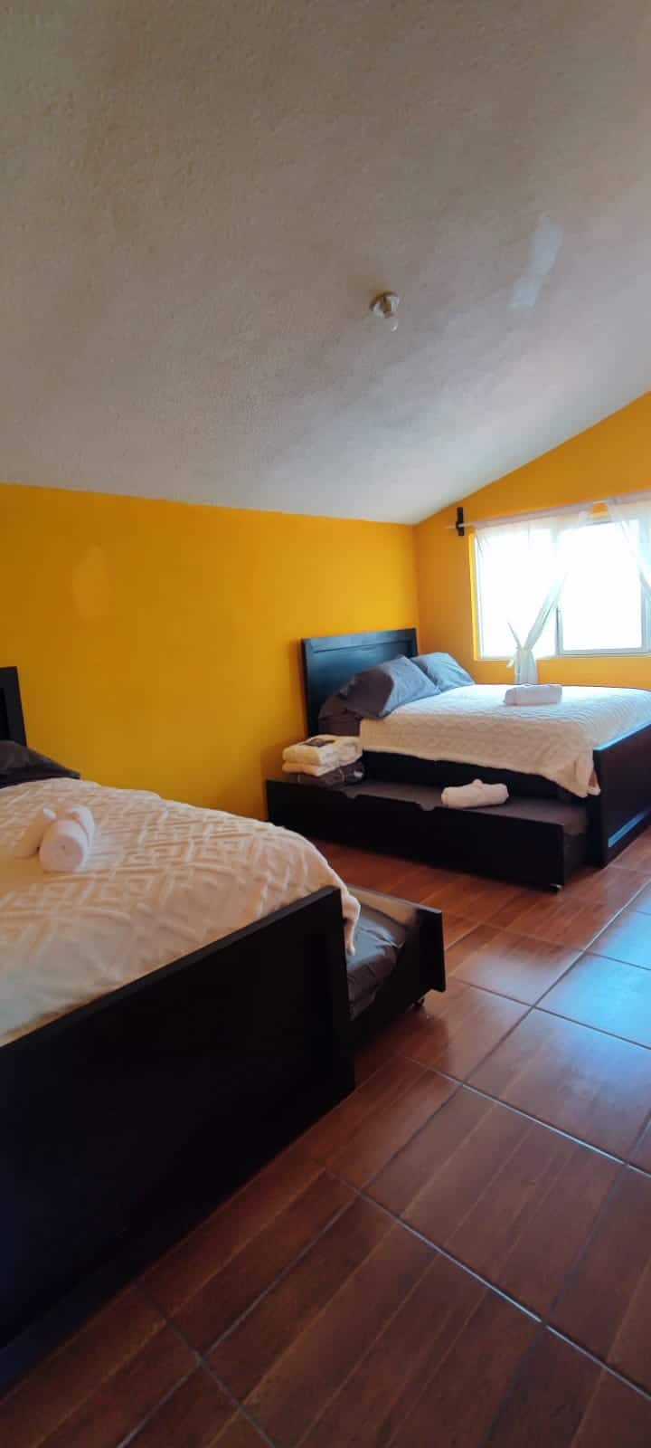 Casa Azul - Querétaro