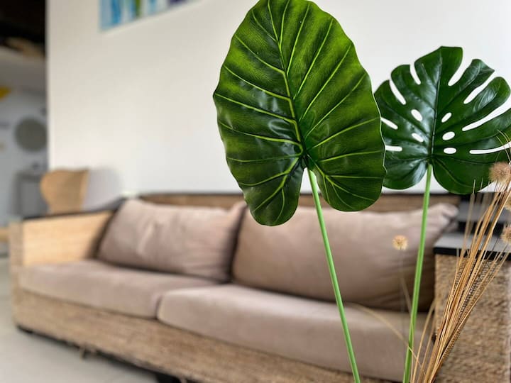 Spacious Loft In Center Willemstad - Curaçao