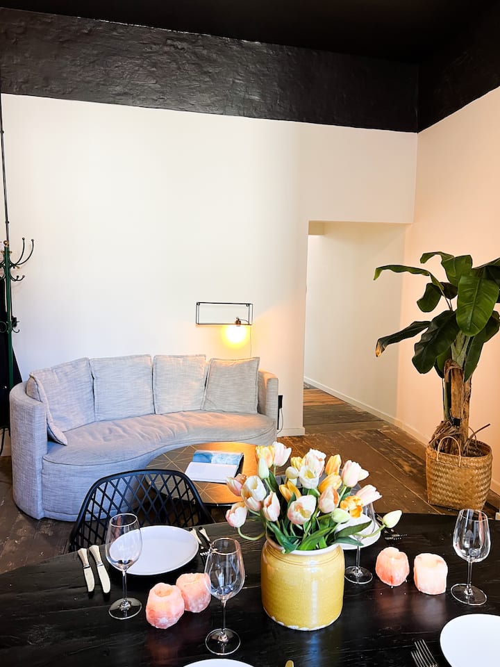 San 2 - Newly Renovated Apartment - Anvers