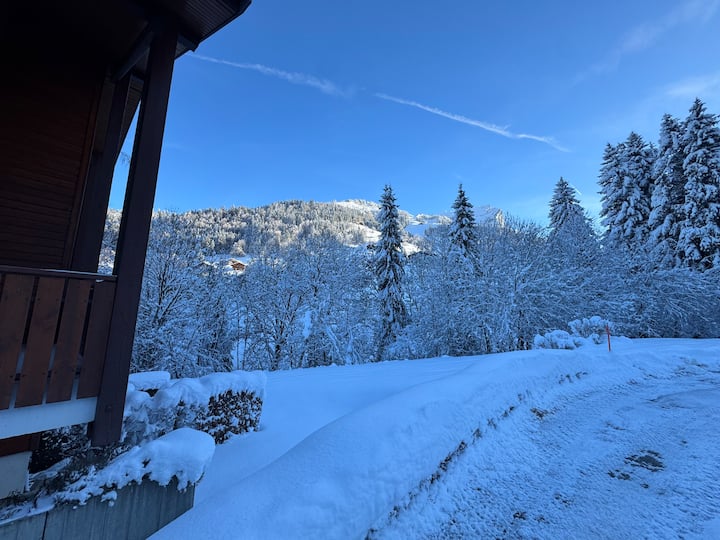 Appartement T2-3 En Rez De Jardin (4 à 6 Pers) - La Clusaz