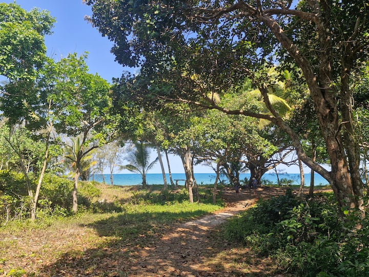 Castaway At Cowley - Beach Front Paradise - Silkwood