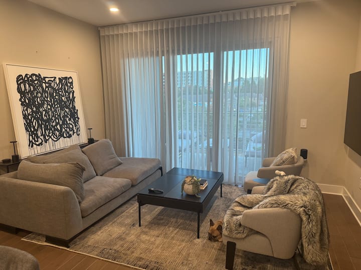 Luxurious Downtown Durham 2-bedroom, 2-bath Condo - 德罕