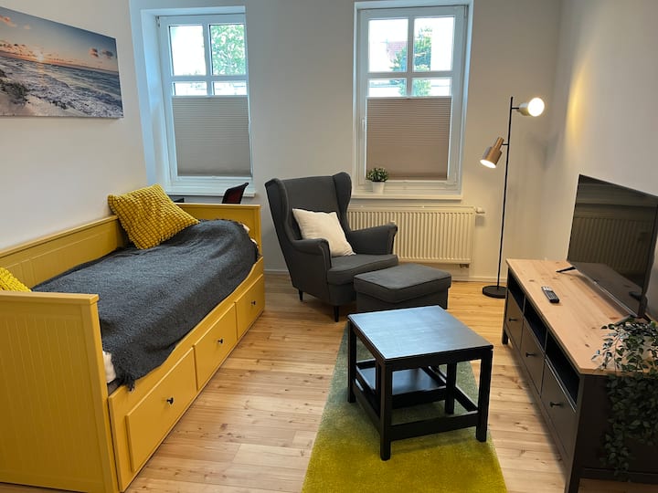 Charmantes 1-zimmer-apartment Mit Guter Anbindung - Magdeburg
